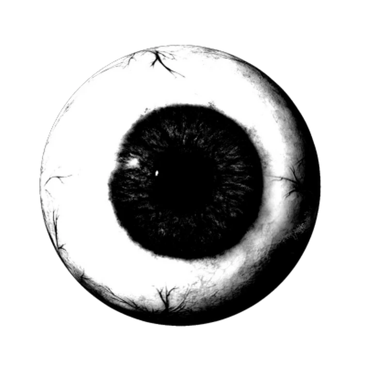 create your own skrunkle! | Fandom