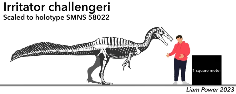 Irritator skeletal | Fandom