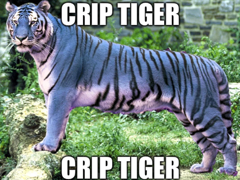 Crip tiger | Fandom