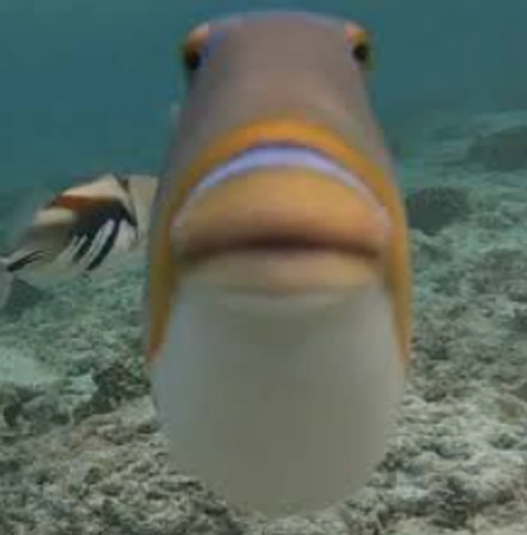 bobbete in the render picture: | Fandom