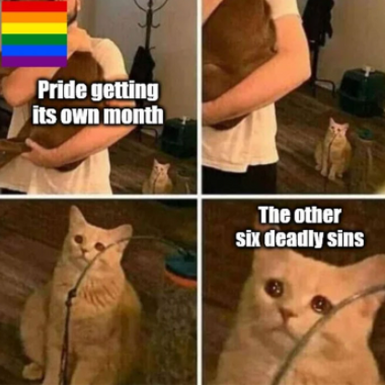 Pride Month meme #11 | Fandom