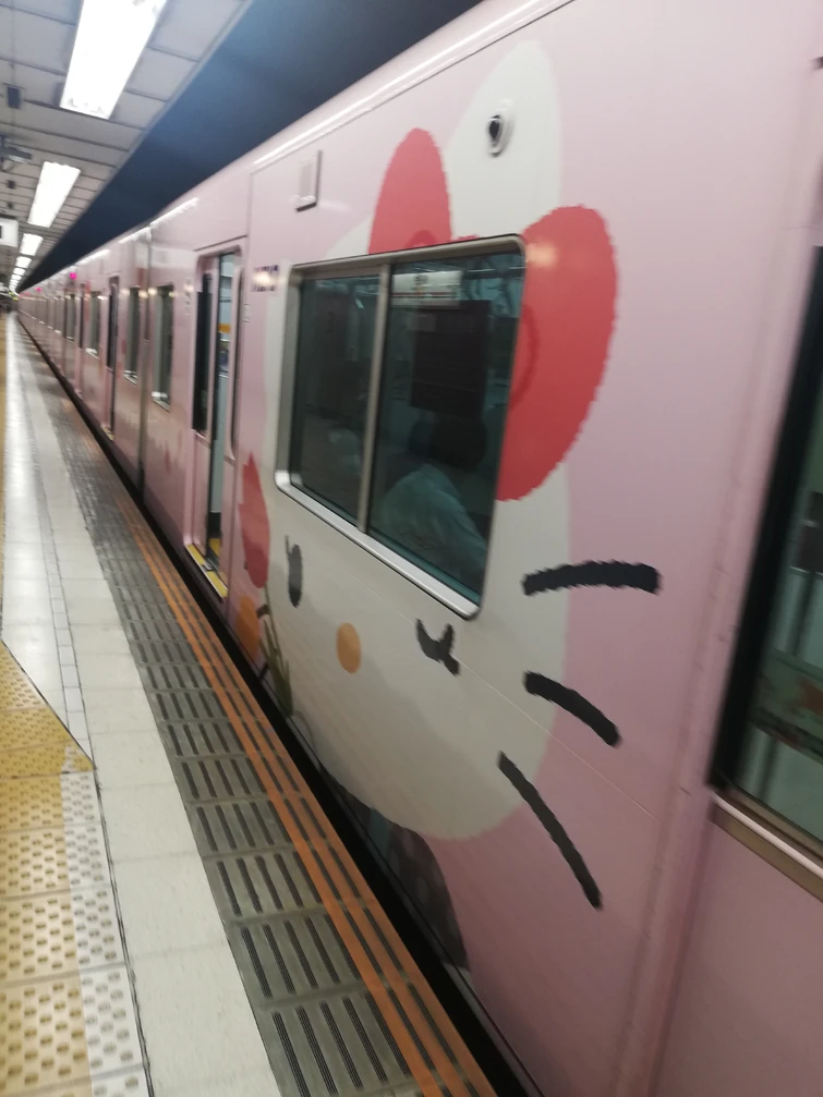 Precure Pretty Store Tokyo Report + Sanrio train and so on + my message ...