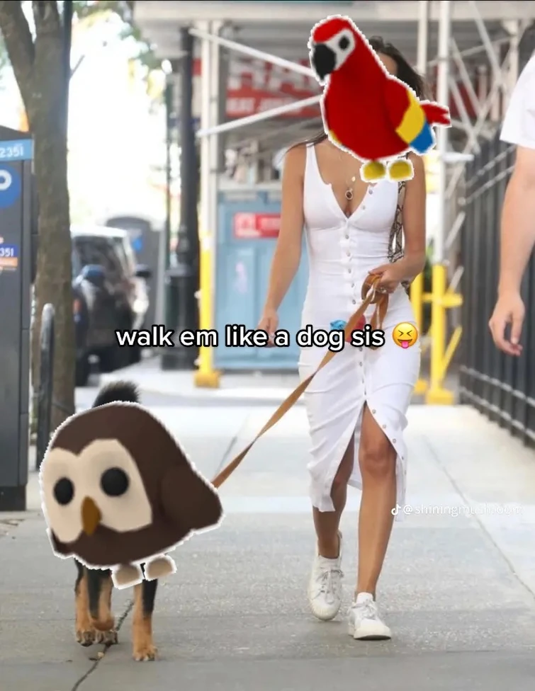 walk em like a dog😻 | Fandom