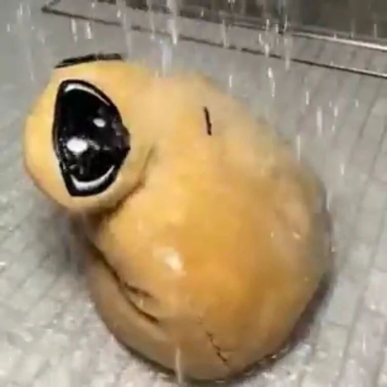 ooh ooh temu | Fandom