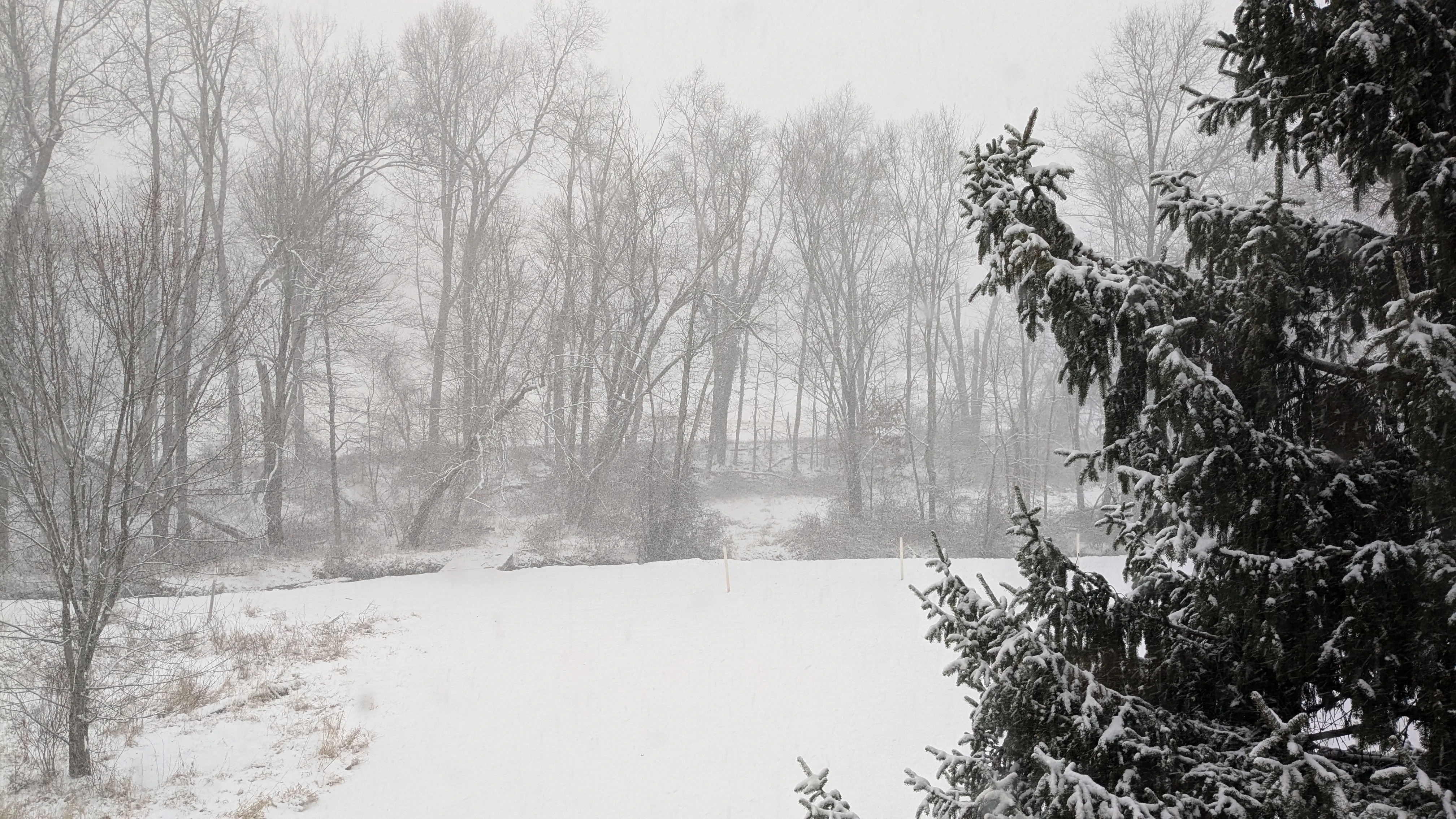Ah cool, snow | Fandom