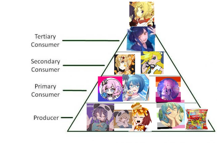 wiki food chain (pt1) | Fandom