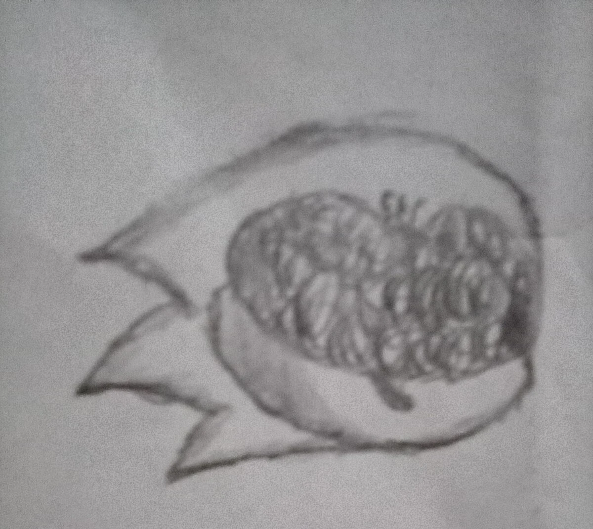 Another DX drawing | Fandom