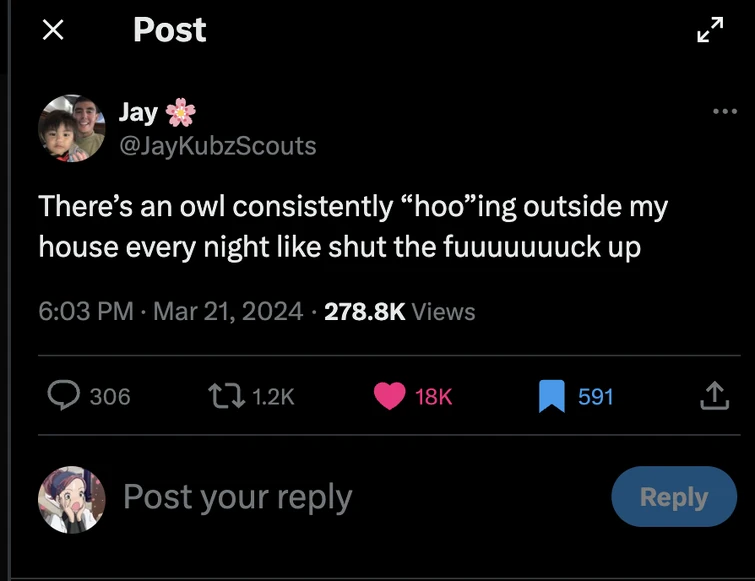 HELP WHEN I SAW JAYS POST I KNEW I HAD TO DO THIS (no idea if this is ...