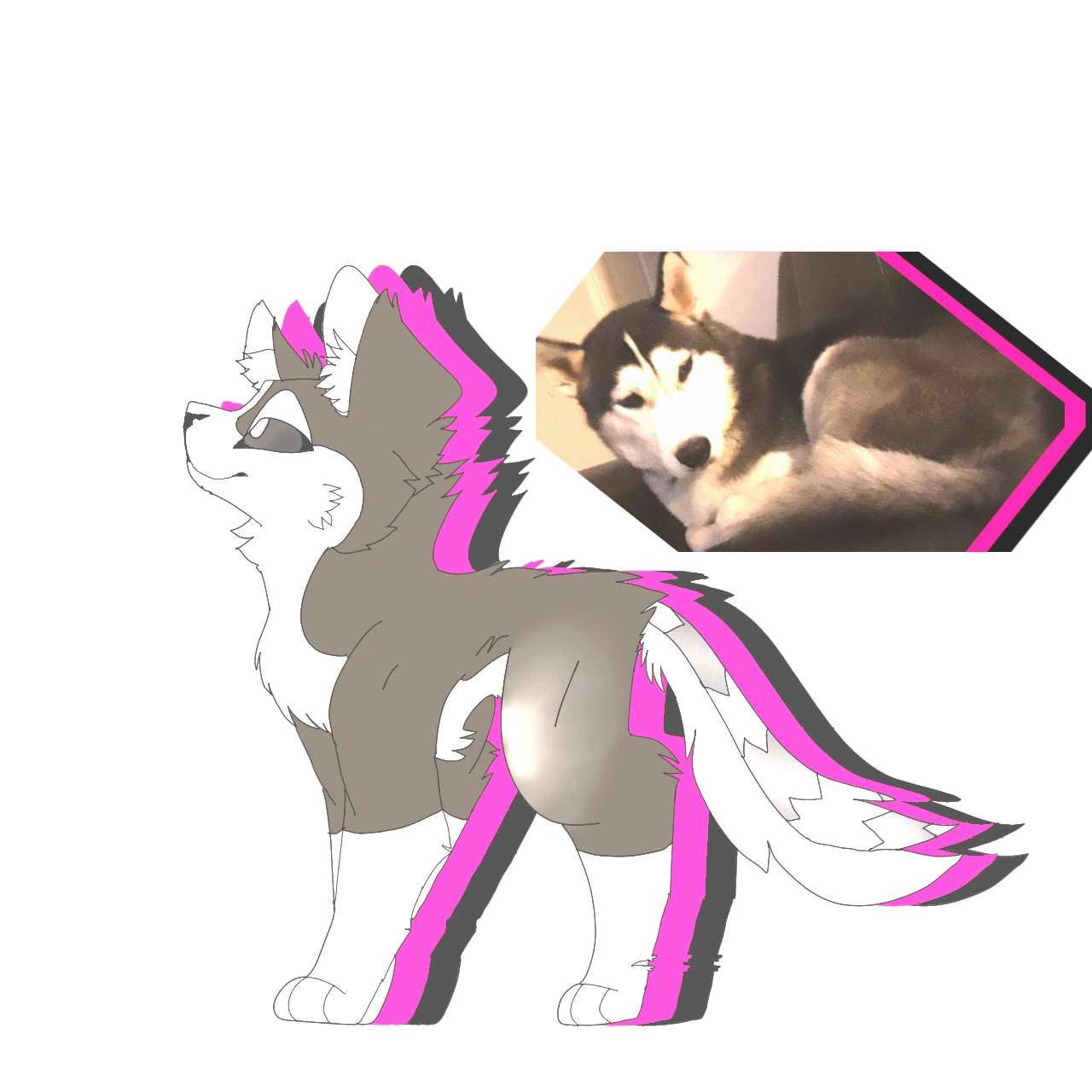 My dog, Lilith ( OFFTOPIC ART ) | Fandom