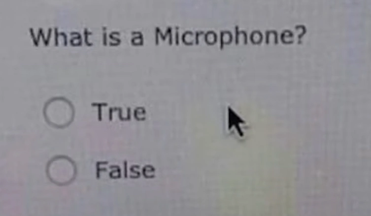 True or false | Fandom