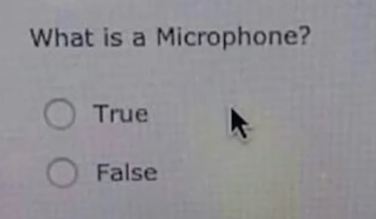 True or false | Fandom