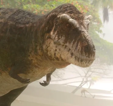 Battle of the rexes | Fandom