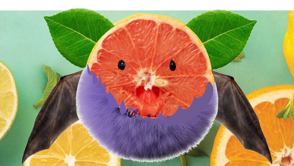 citrus objectified | Fandom