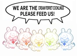 cream ferret cookie fans unite | Fandom