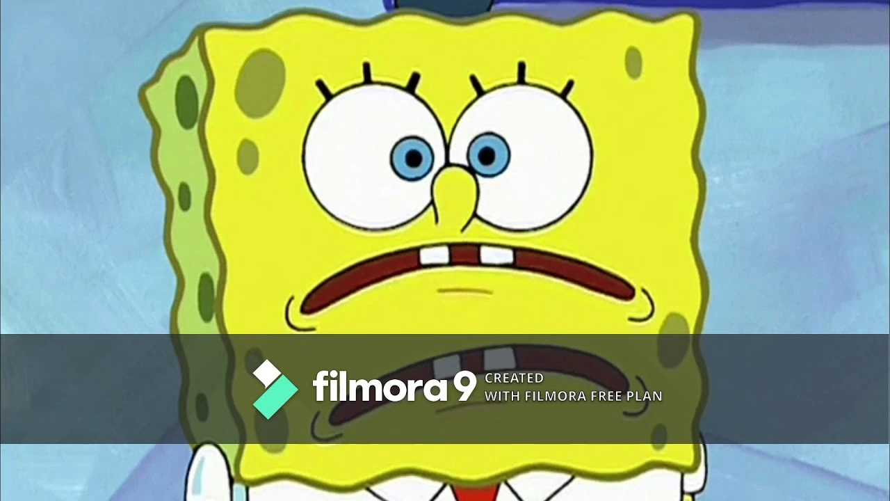 You are a winner... | Fandom