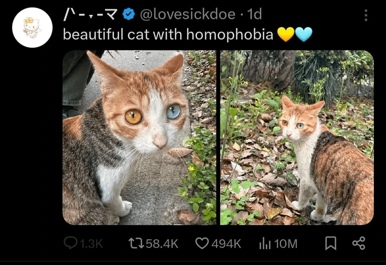 Suggest ways to kill One here! | Fandom