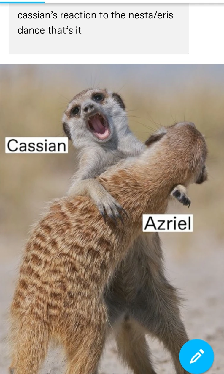 ACOSF spoiler memes! | Fandom