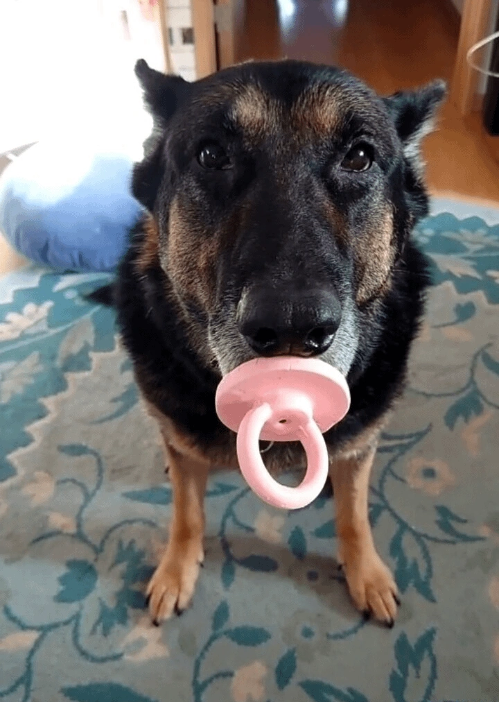 Low effort check up (Yeah) | Fandom