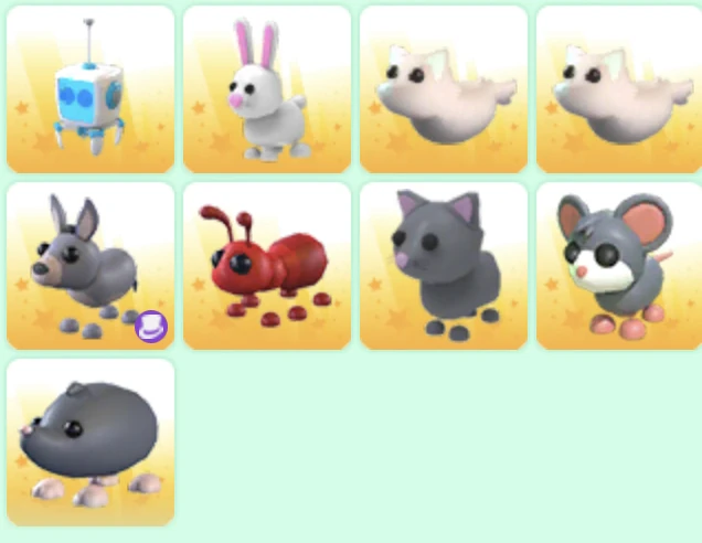 LF - snow leopard cat | Fandom