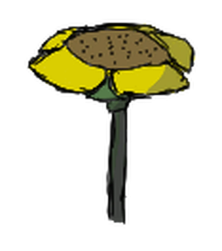 Discuss Everything About Wings of Fire Wiki | Fandom