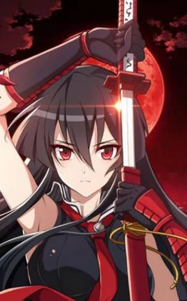 Akame vs Hiei | Fandom