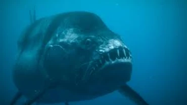 Discuss Everything About Dinopedia | Fandom