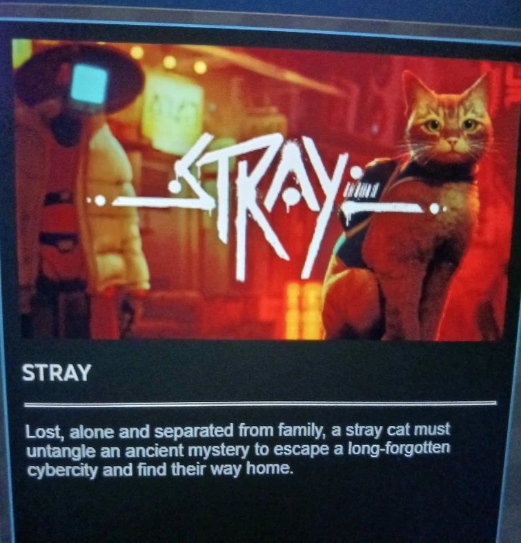 I'm playing this new game I just got called `` Stray `` | Fandom
