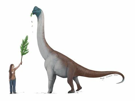 Europasaurus, the sauropod whose size was its downfall | Fandom