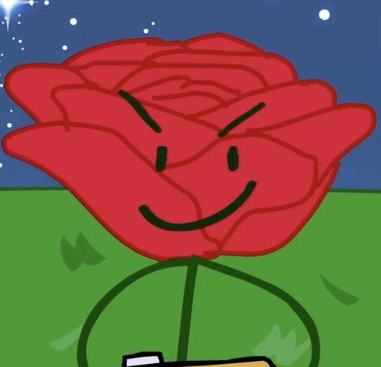 Rose 🥰🥰🥰😍😍😍😍 | Fandom