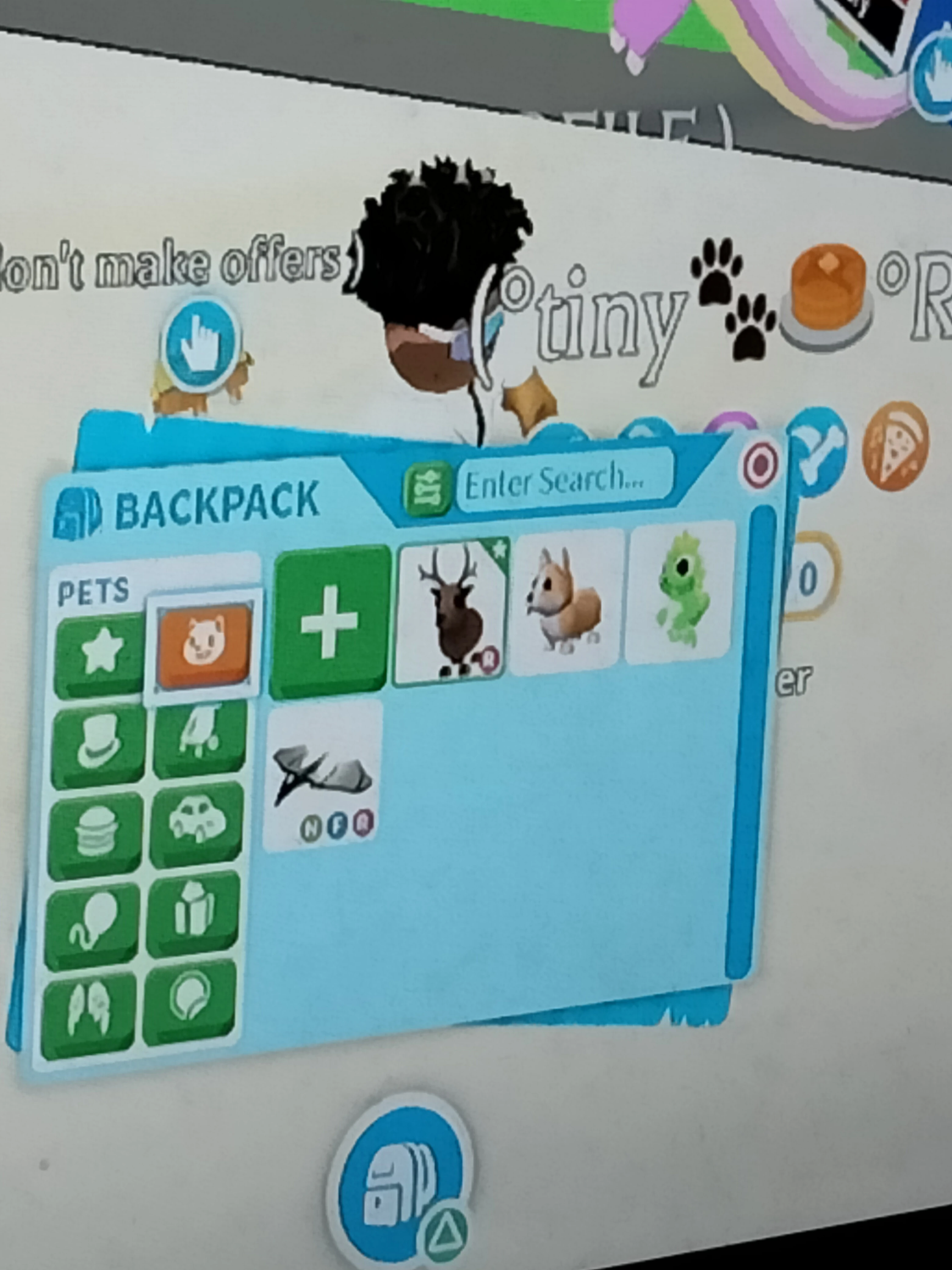 Trading Ride Reindeer and NFR Wyvern for Another NFR or a FR uni or Sumthing Better | Fandom