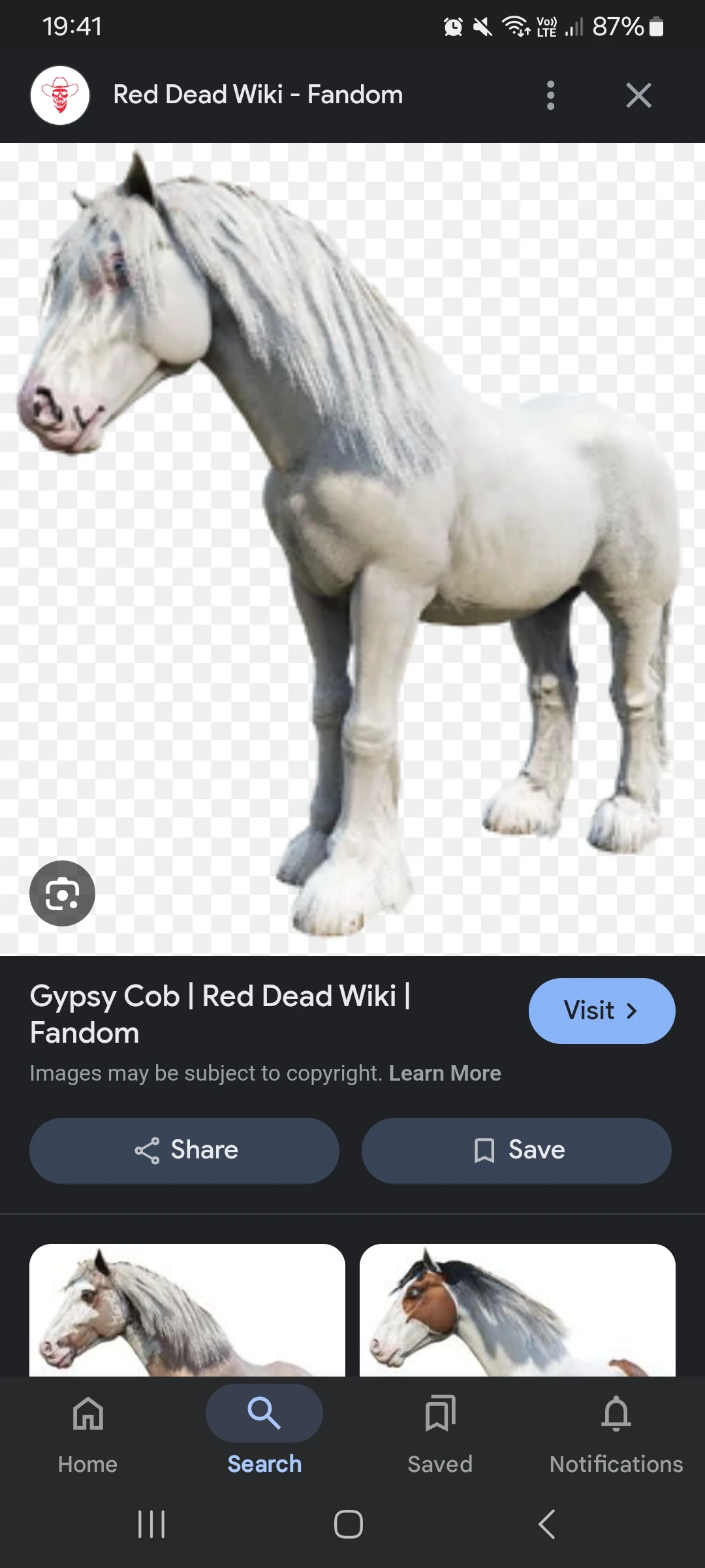 opinions on my new white, gypsy cob in rdr2? :3 bought it 20 times ...