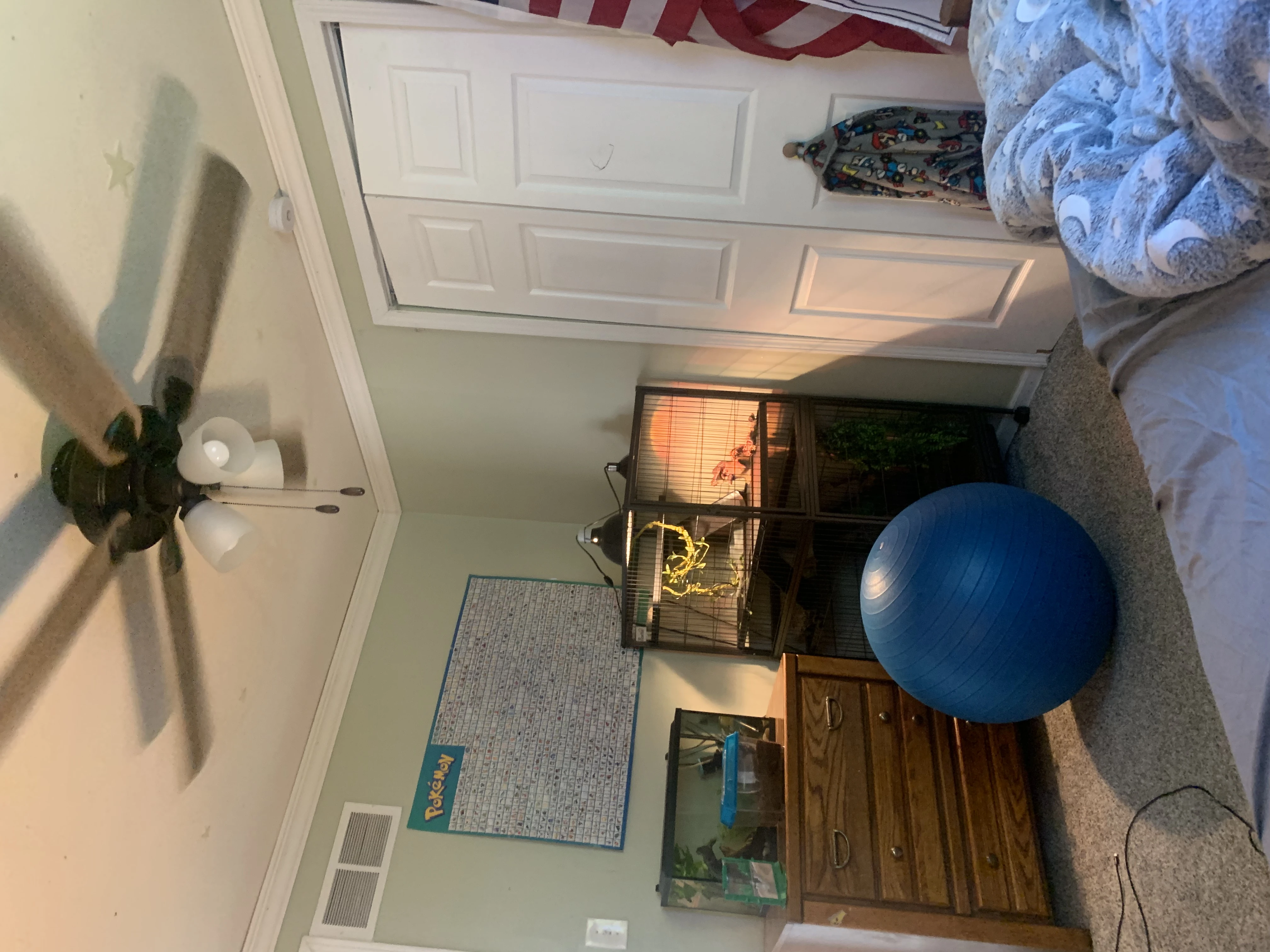 Rate my room!! | Fandom