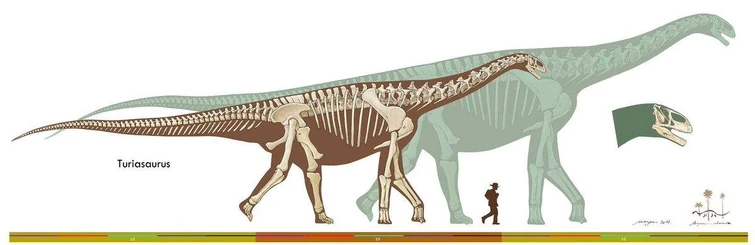 Dinosaurs of France|The Dinopedia Spinwheel Battle Adaptation | Fandom