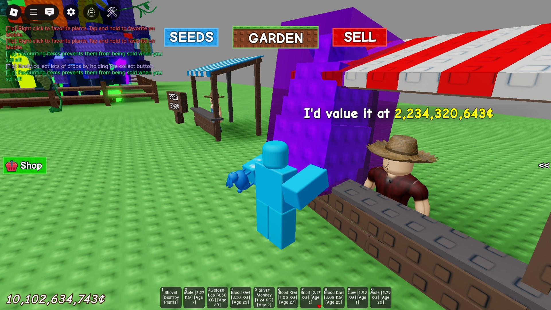 Rainbow Moon Mango Replanted By Moon Cat | Fandom