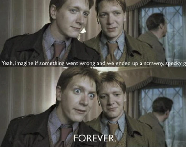 Fred And George Weasley Sad Quotes