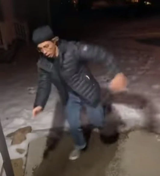 am i tripping or | Fandom