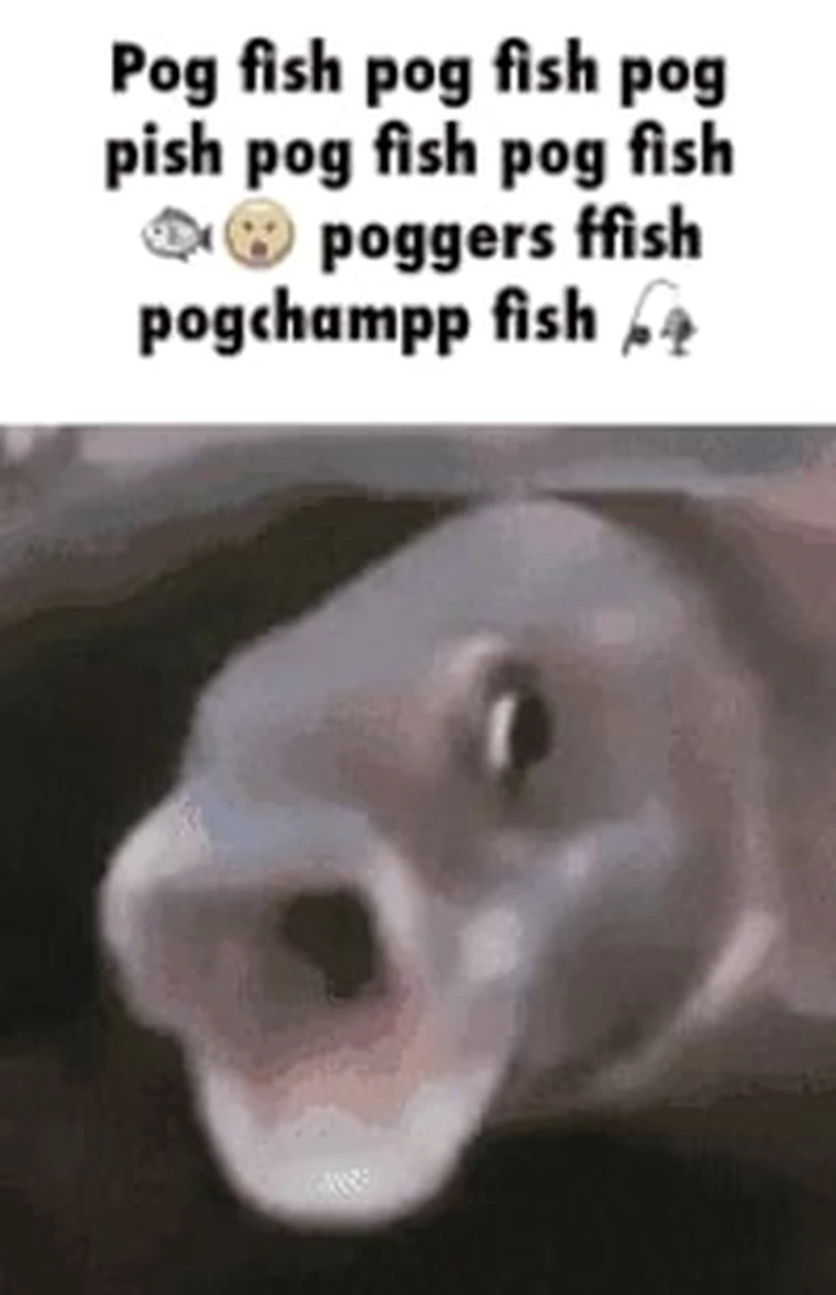 art gallery | Fandom