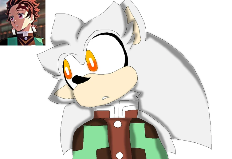 I wanna draw your Sonic OC's as Demon Slayer characters plz? | Fandom