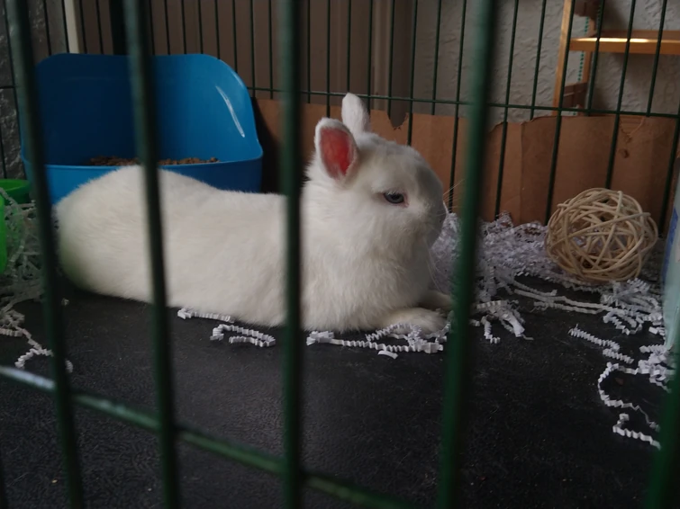 Try to guess his name | Fandom