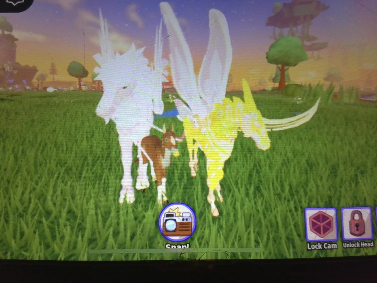 Discuss Everything About Horse Life Wiki | Fandom