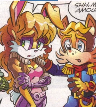 which one of my favorite Sonic the Hedgehog ships is the best? | Fandom