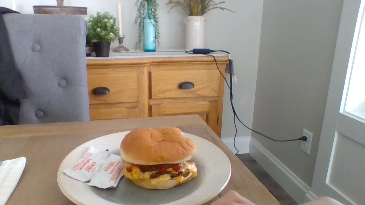 hey guys what do you think of this burger | Fandom