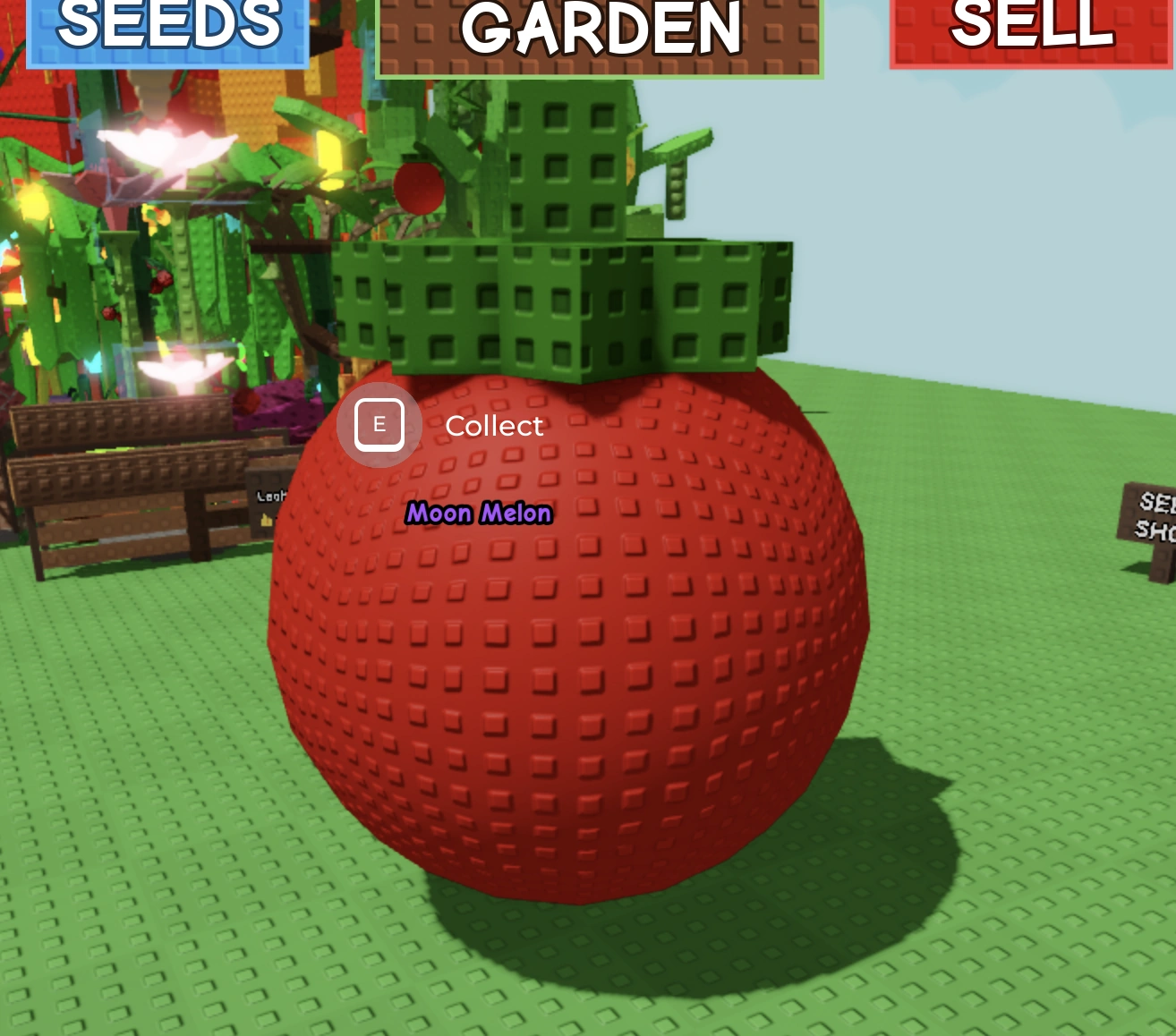 accidentally put my master sprinkler too close to my tomatoes... | Fandom