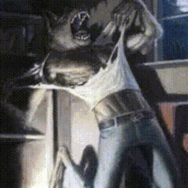 I HAVE NEW TYPING QUIRK. | Fandom