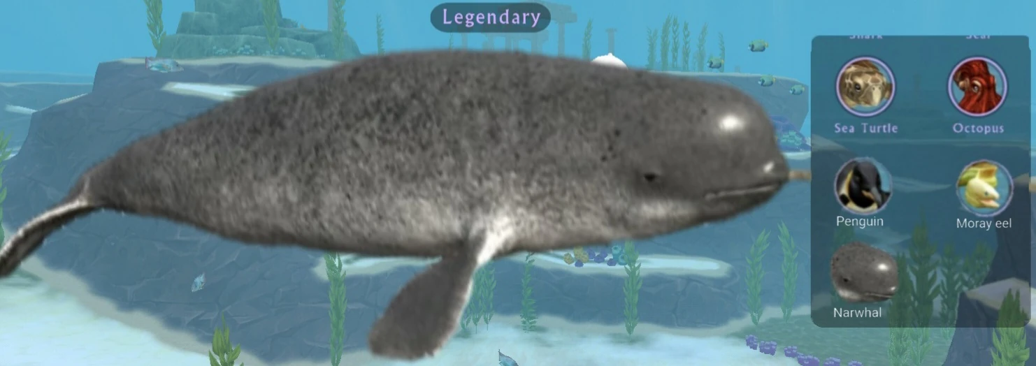 Narwhal,moray eel and penguin concept | Fandom