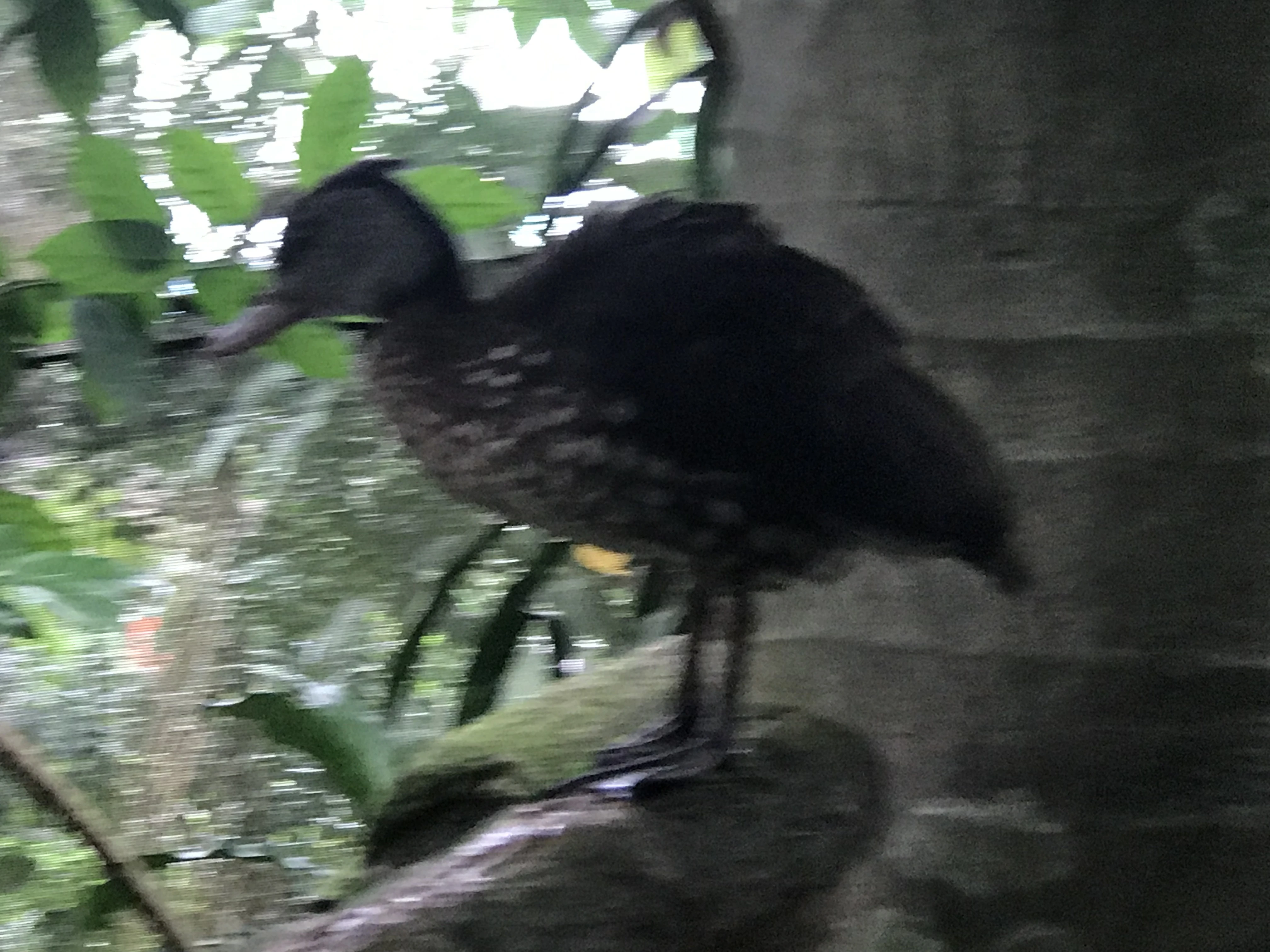 omg!1!1!1!1! | Fandom