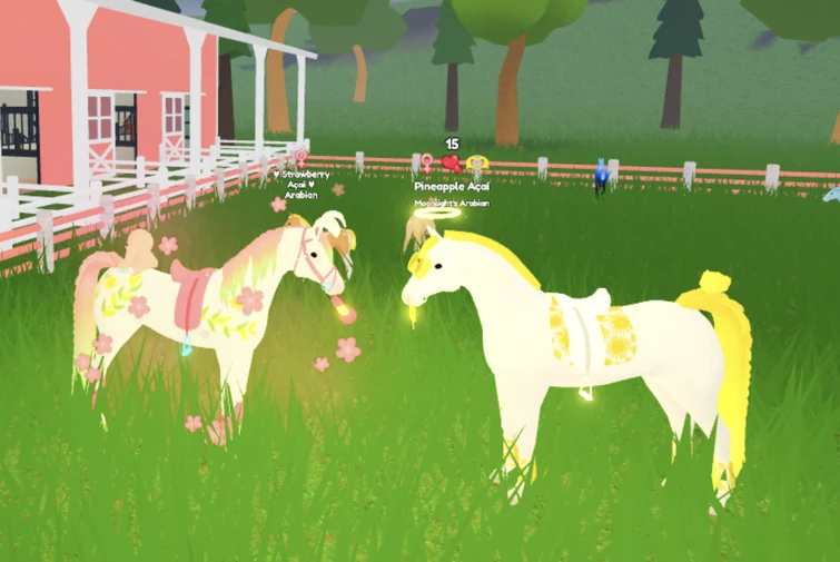 Cute horsey pictures?? :3 | Fandom