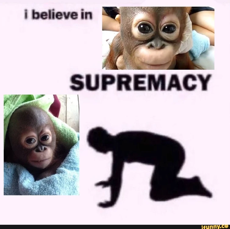 Day 1 of posting Budi memes everyday until I reach 5000 posts | Fandom