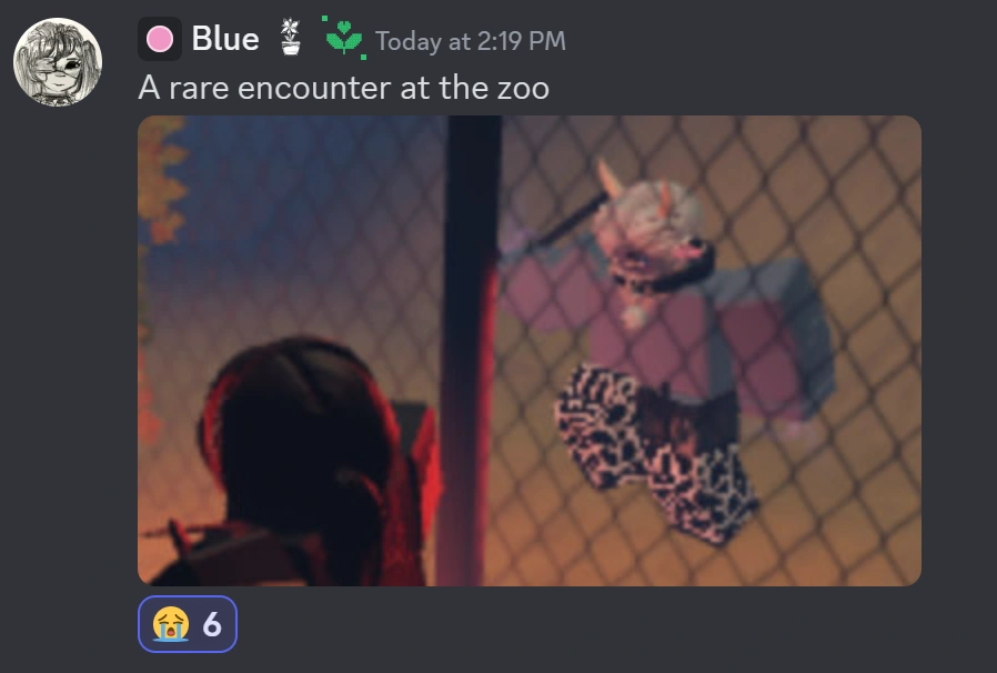 some goofy shit i saved from the official db server | Fandom