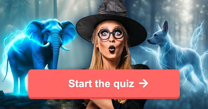 Harry Potter Patronus Quiz | Fandom
